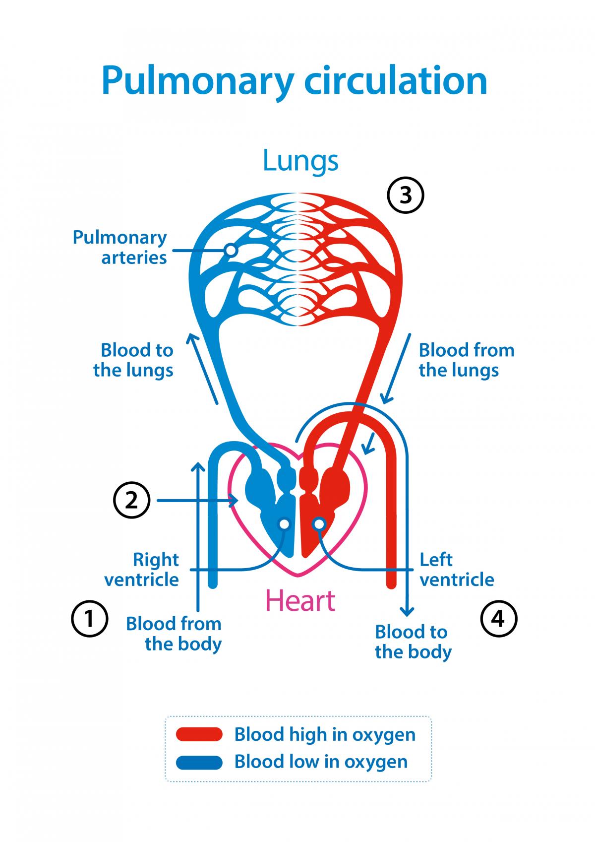 DIAGRAMS part 1 – Hathaway Section – Spring 2020